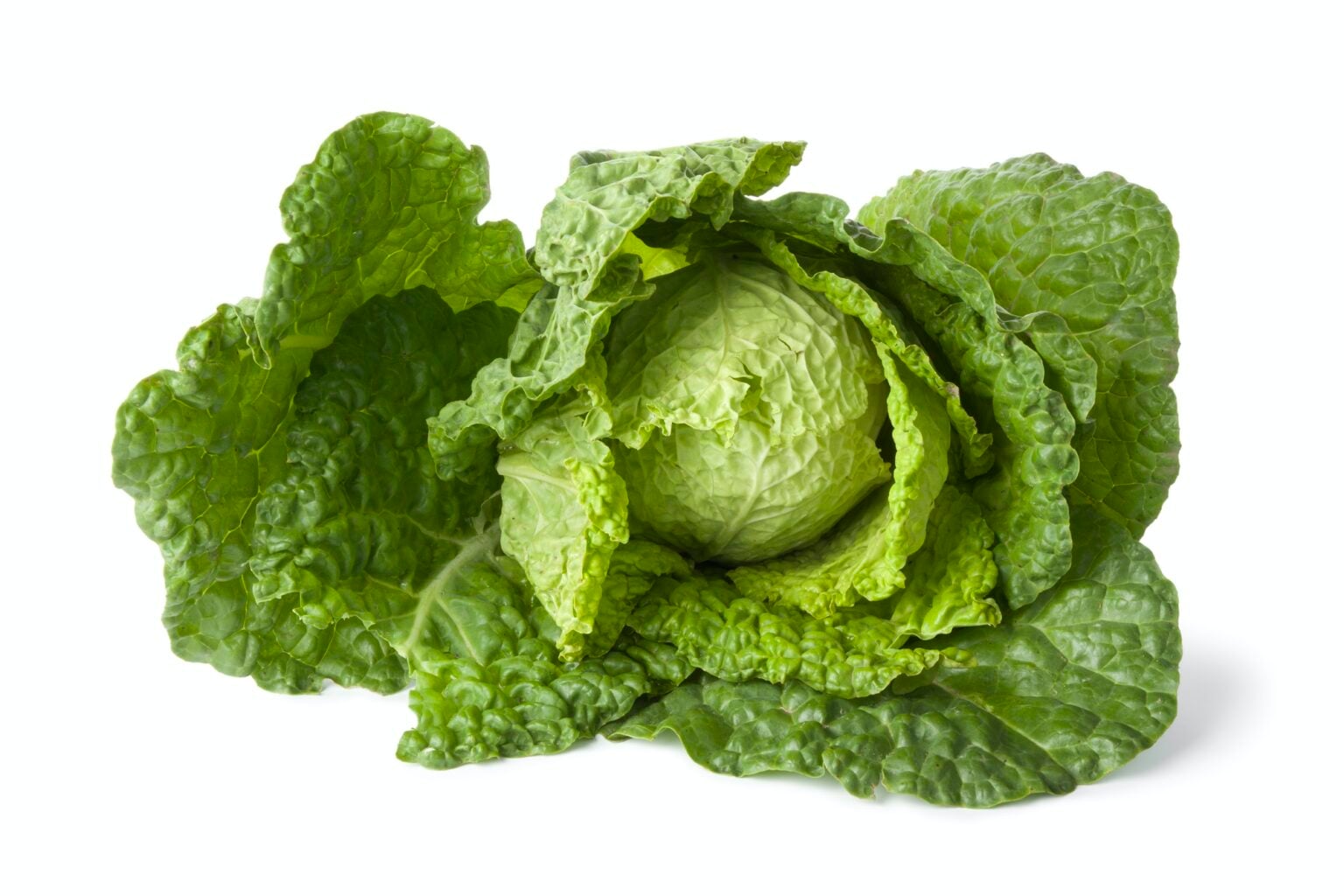 What We Grow - Riviera Produce